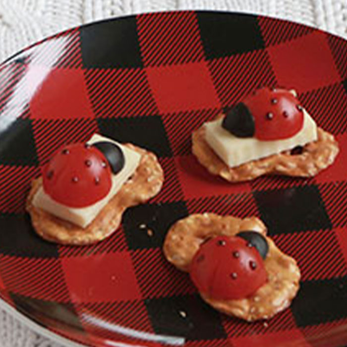 Lady Bug Picnic - Snack Factory